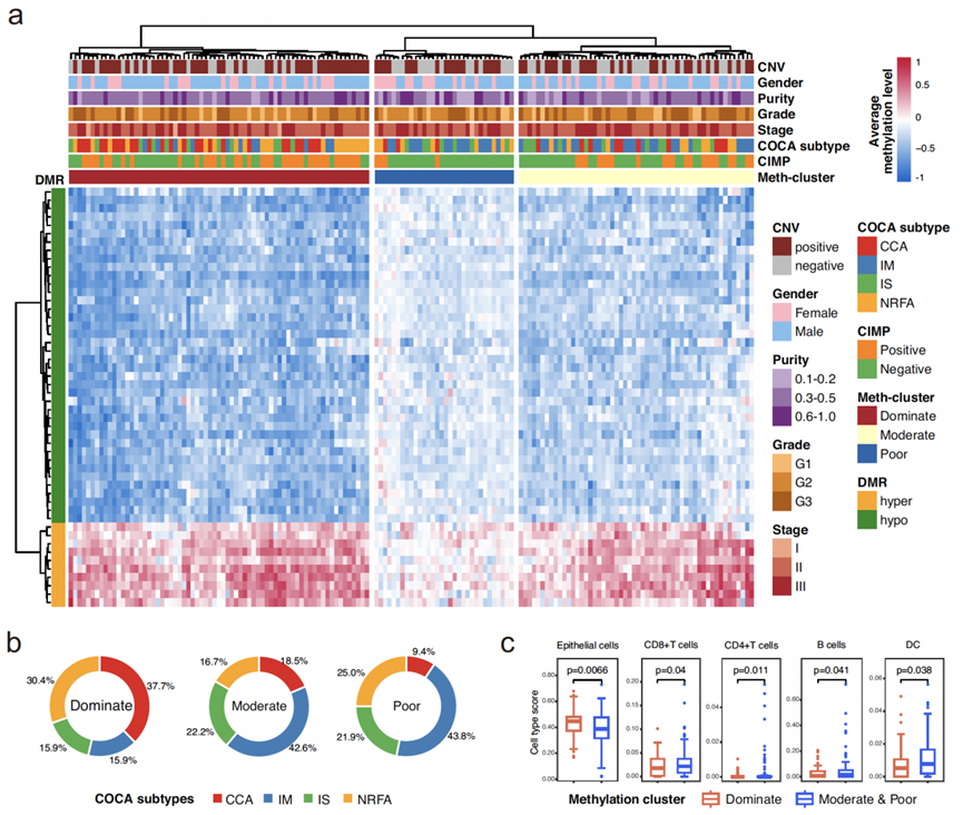【Nature Comms】cfDNA多组学超早期识别食管鳞癌和癌前病变 - 世和基因