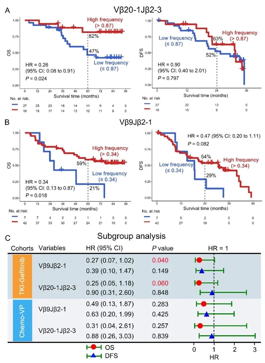 ADJUVANT再添硕果：T细胞受体克隆型可提示EGFR亚型辅助治疗疗效 - 世和基因